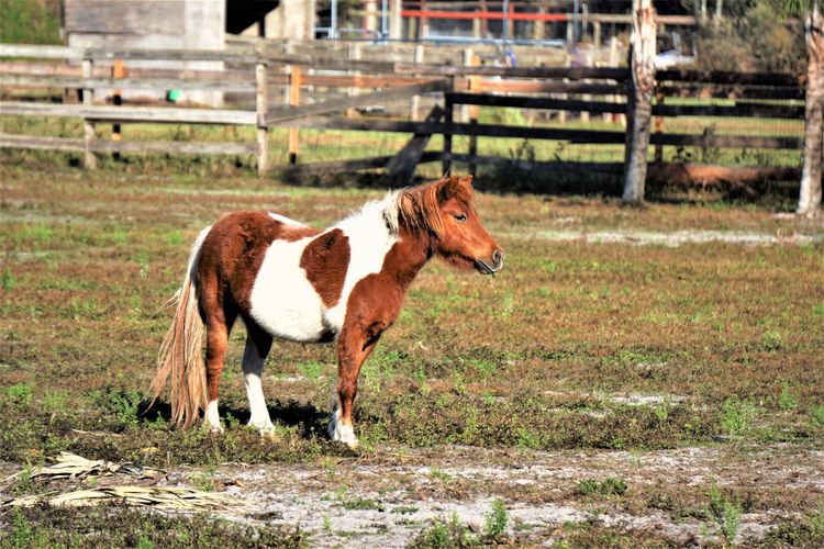 Heather Pugh | GuruShots