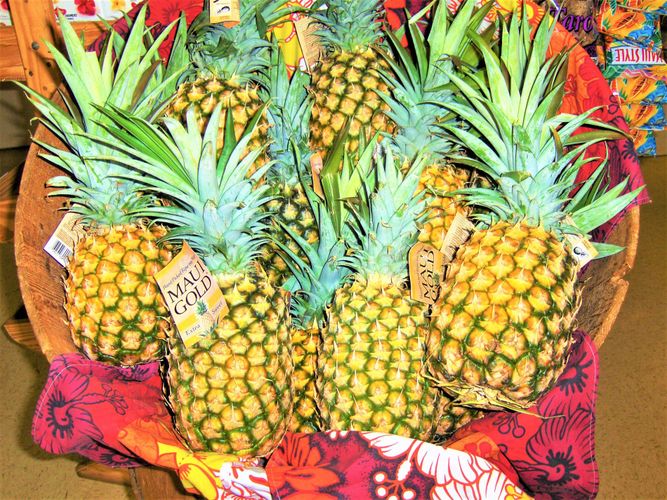 Heather Pugh | GuruShots