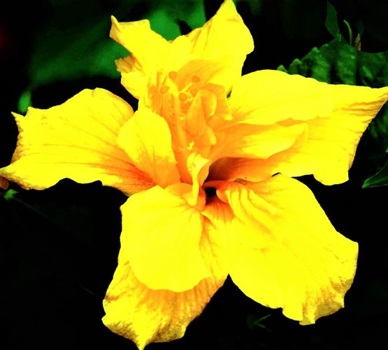 Heather Pugh | GuruShots