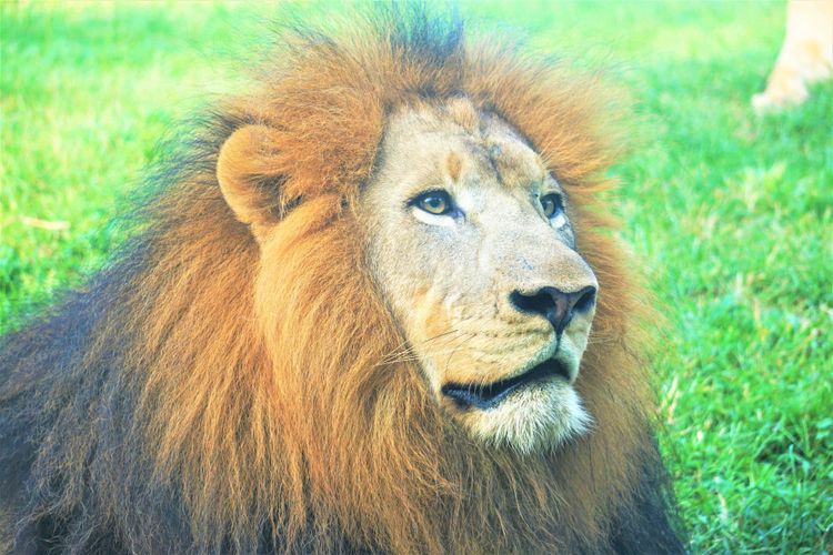 Heather Pugh | GuruShots