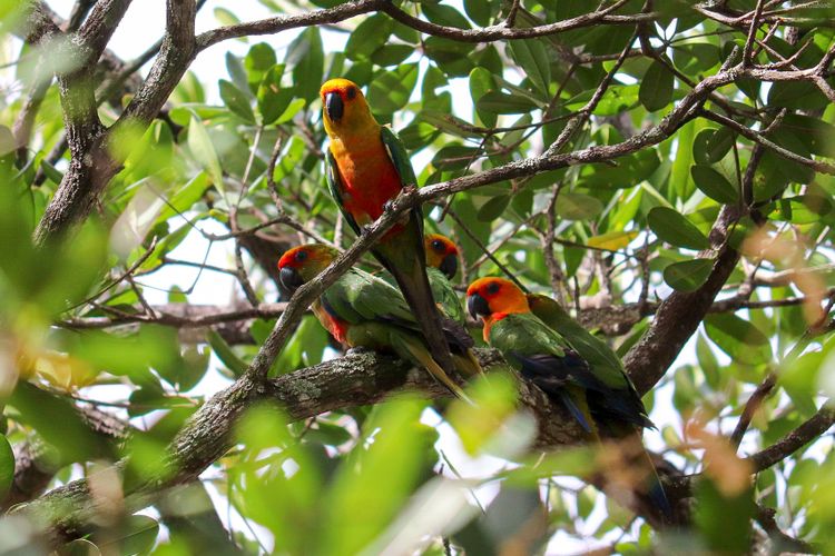 GuruShots | Photo Challenges