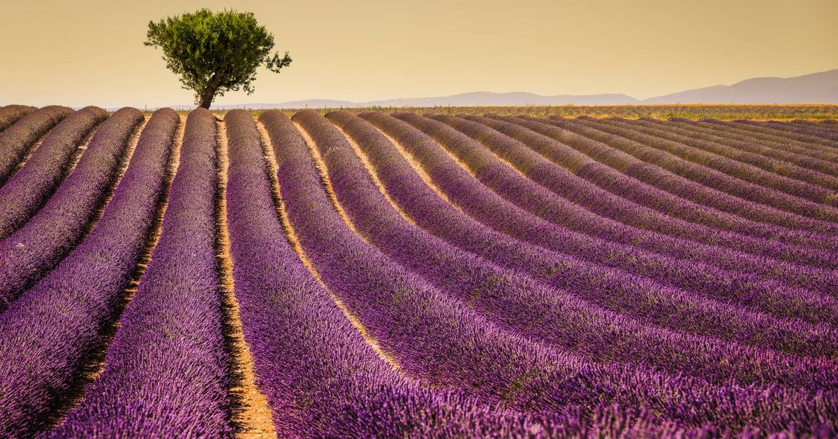 32 Tantalizing Examples of Why the "Rule of Thirds" - Rules