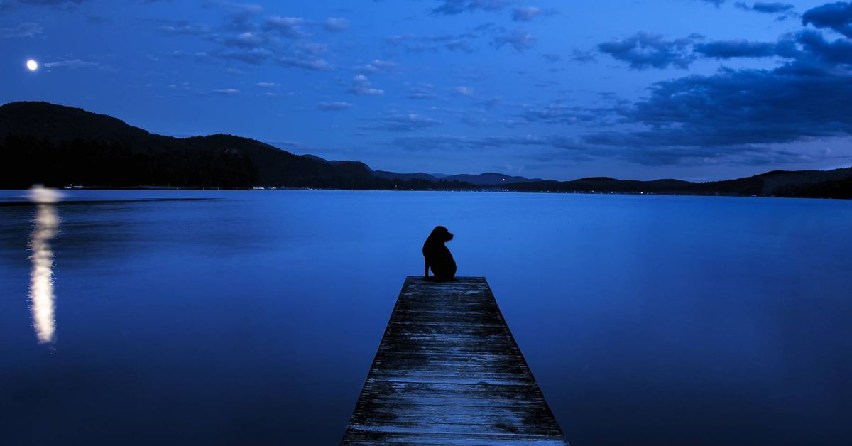 36 Gorgeous Examples of What "The Blue Hour" Can Do For A Photograph