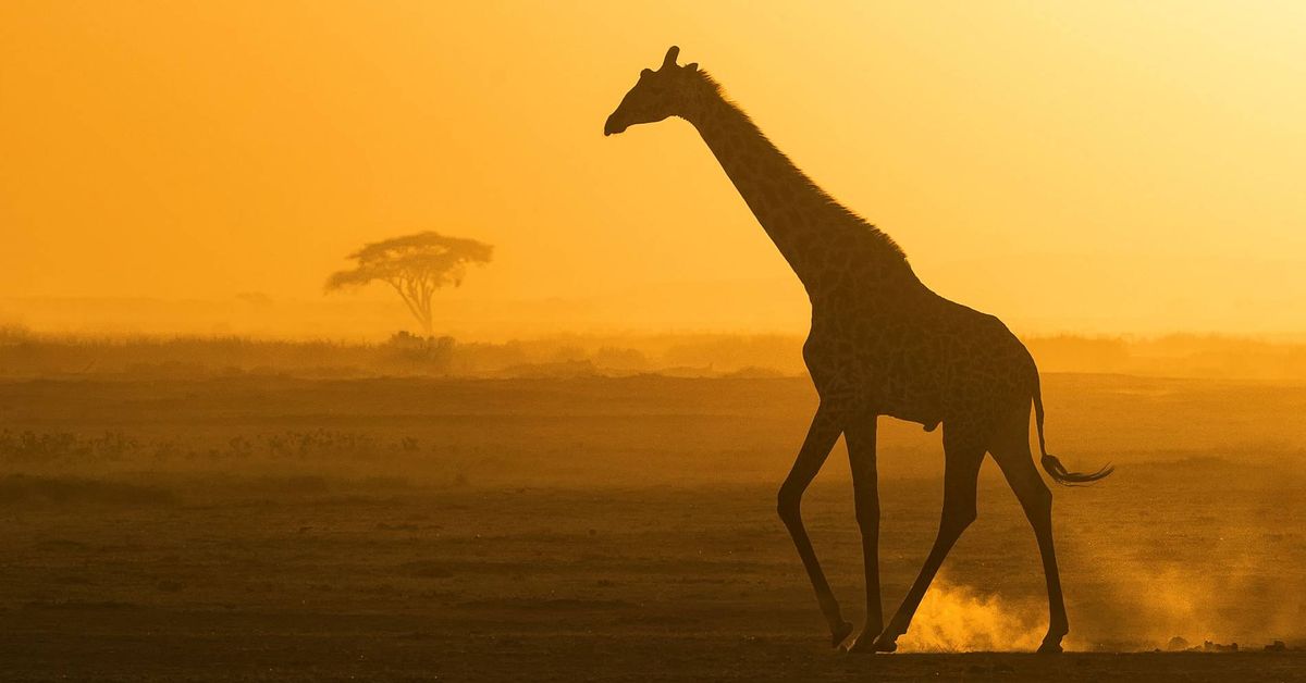 32 Tantalizing Examples of Why the "Rule of Thirds" - Rules