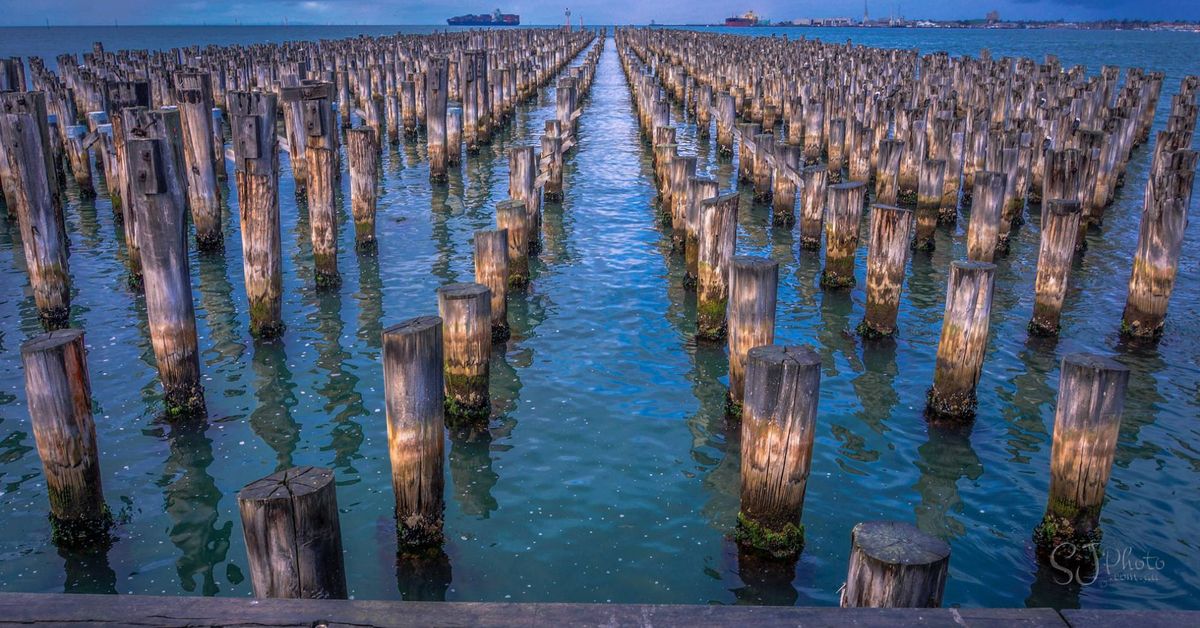 33 Photos That Show There Is Beauty In Overwhelming Numbers