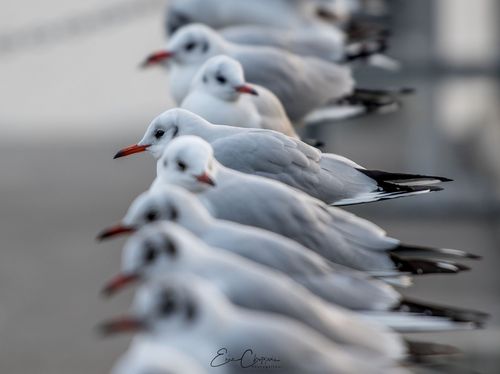 36 Beautiful Examples of Repetition & Patterns in Photography