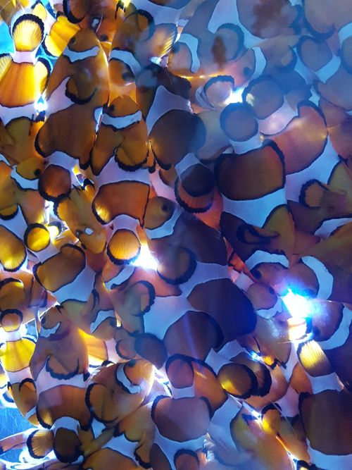 36 Beautiful Examples of Repetition & Patterns in Photography