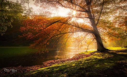 36 Beautiful Examples of Repetition & Patterns in Photography