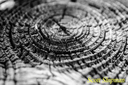 36 Beautiful Examples of Repetition & Patterns in Photography