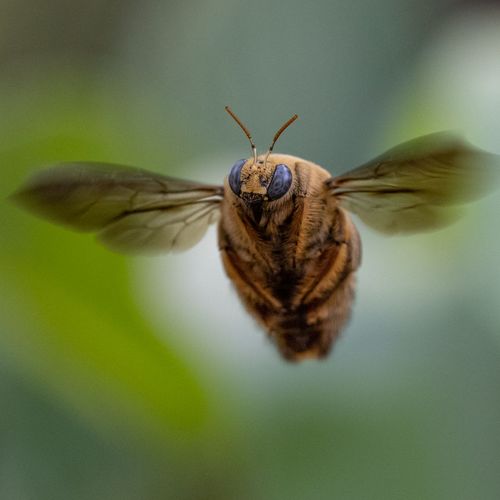 My photos achieved ALL STAR LEVEL | GuruShots