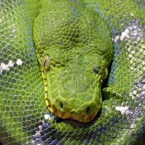 Unusual Compositions Photo Challenge