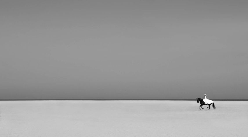 11 Brilliant Examples of Negative Space Defining a Composition