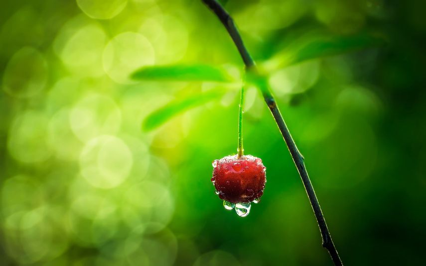 29 Images That Superbly Demonstrate the Beauty of Minimal Depth of Field