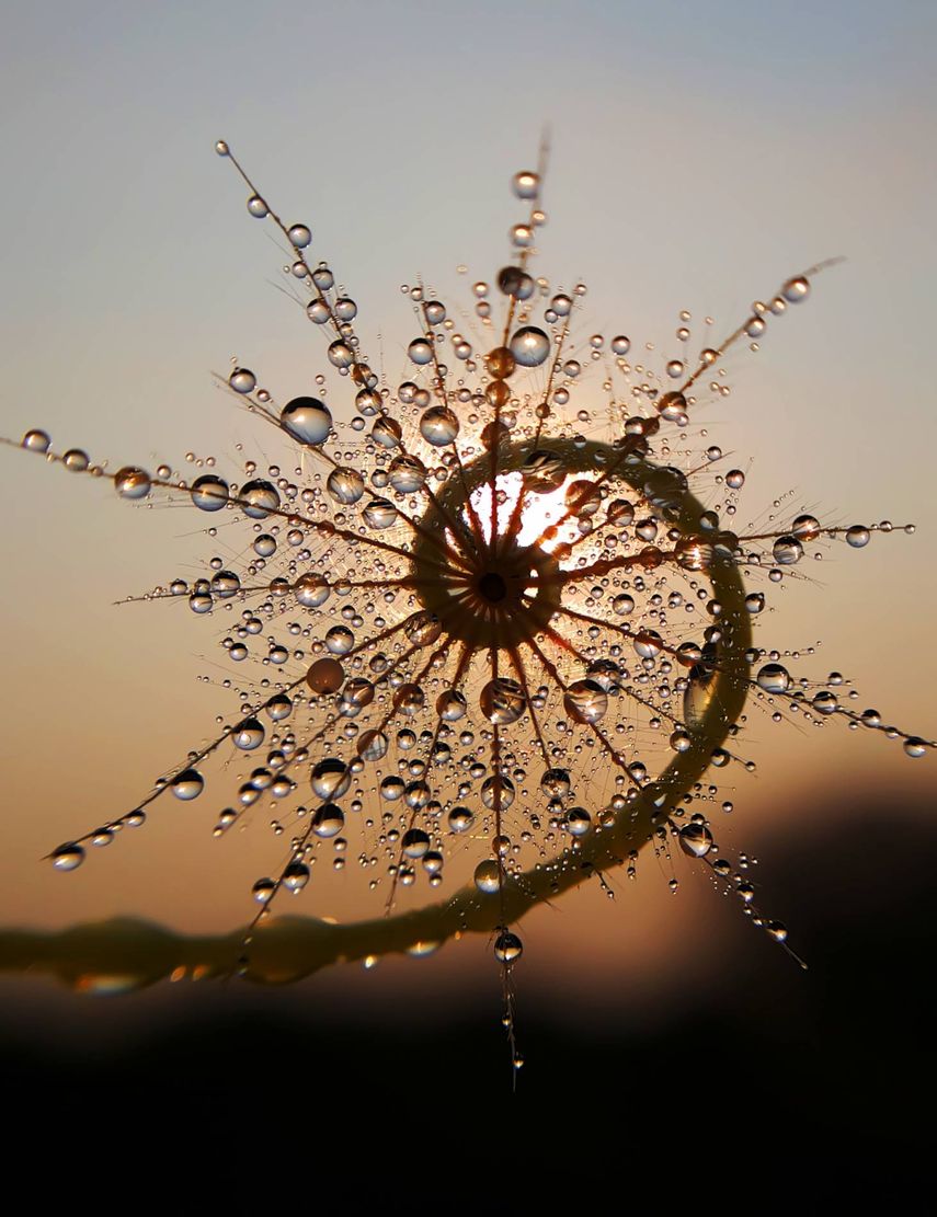 Did You Know The Golden Ratio Is A Mathematical Equation These 36 Did You Know The Golden Ratio Is A Mathematical Equation These 36