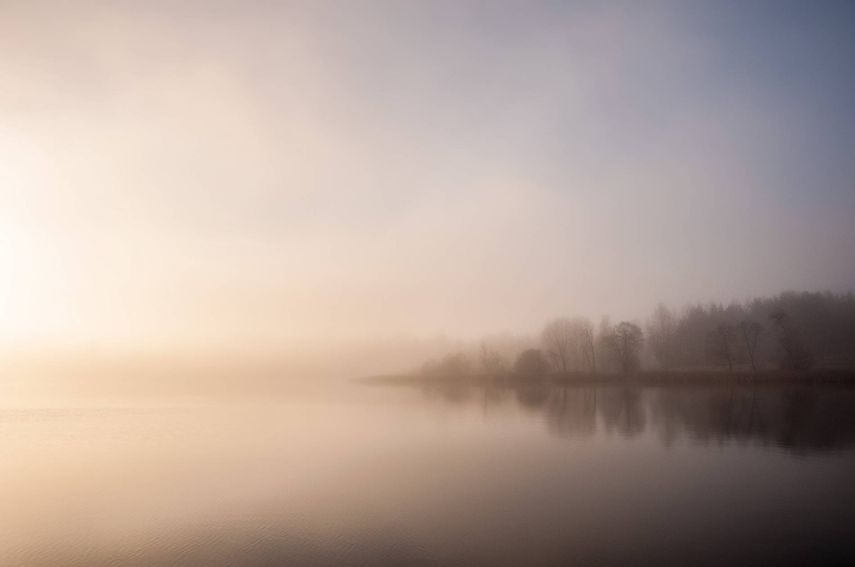 "I Must Go In - The Fog is Rising." 35 Fog Photos Ignite Your Imagination