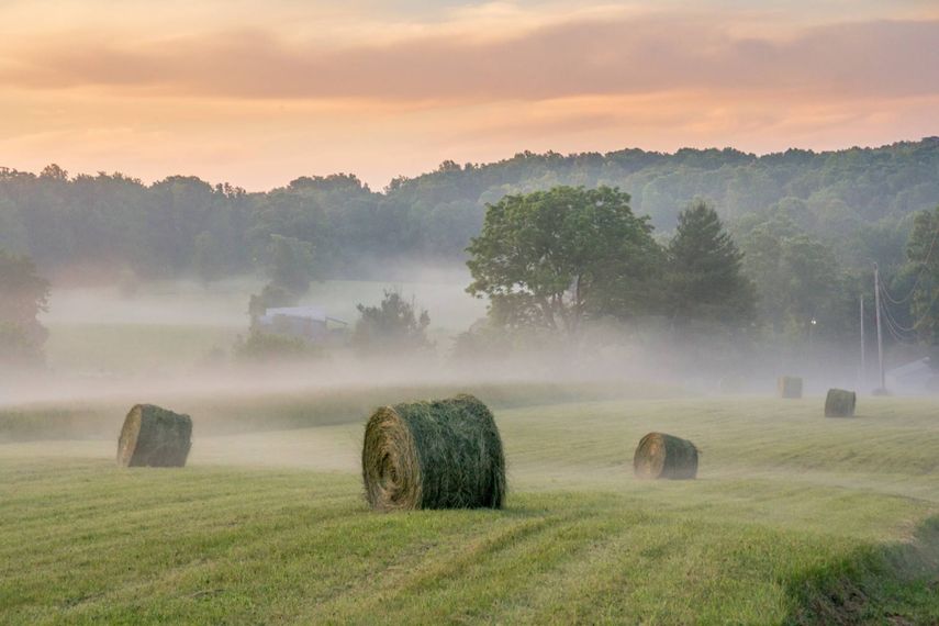 "I Must Go In - The Fog is Rising." 35 Fog Photos Ignite Your Imagination