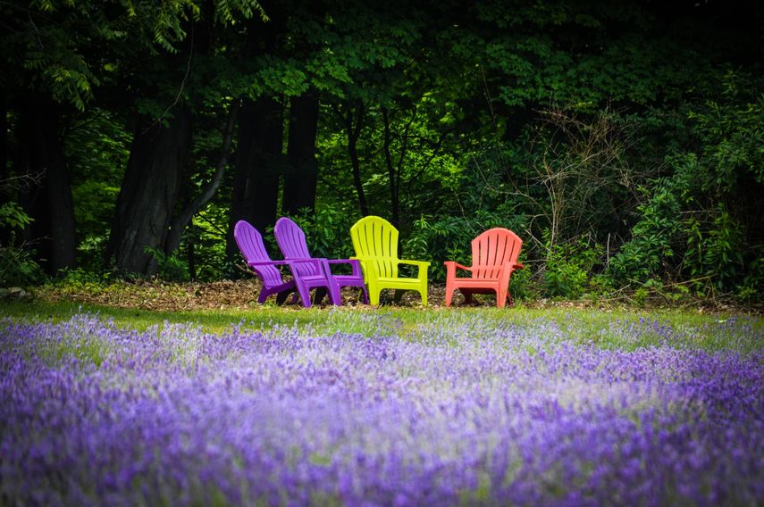 31 Photographs That Will Have You Daydreaming of Lazy Summer Afternoons