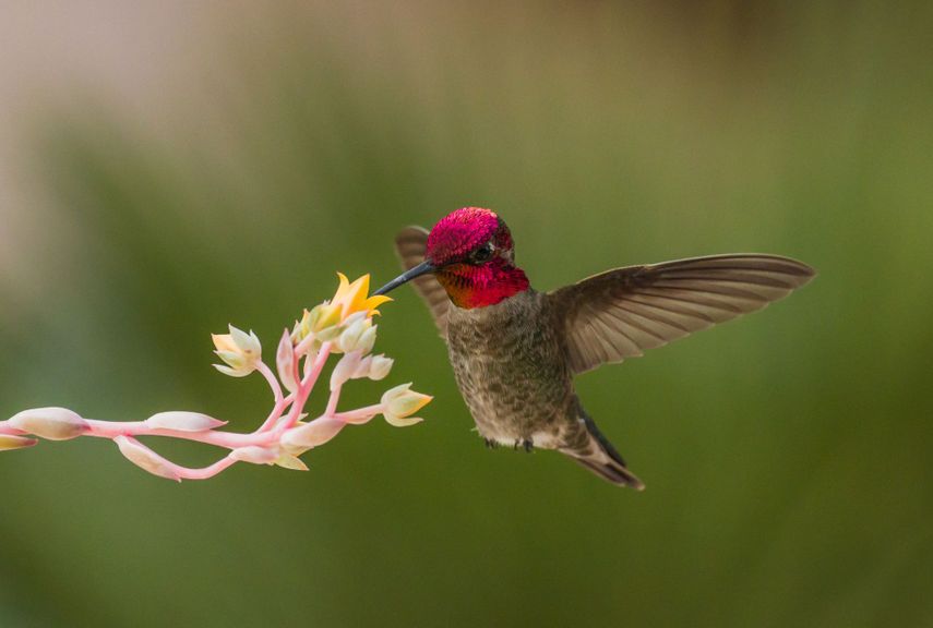 19 Fabulous Examples of a Focal Point