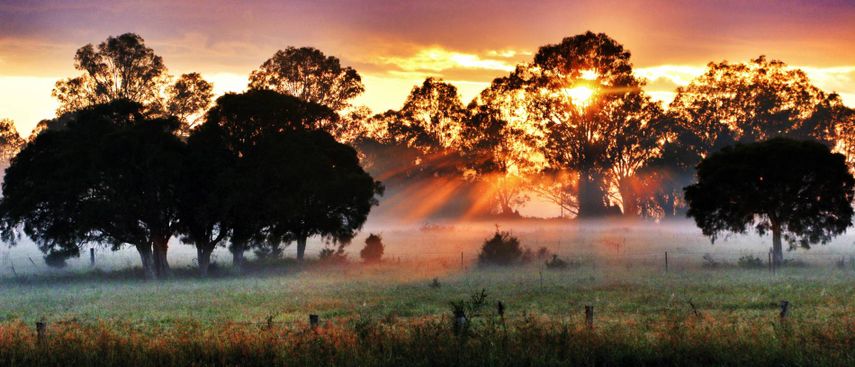 "I Must Go In - The Fog is Rising." 35 Fog Photos Ignite Your Imagination