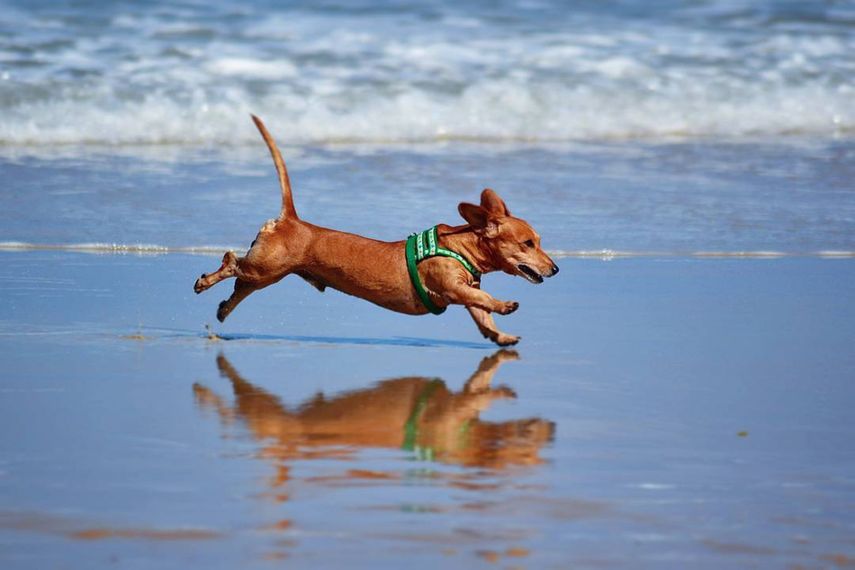 19 Fabulous Examples of a Focal Point