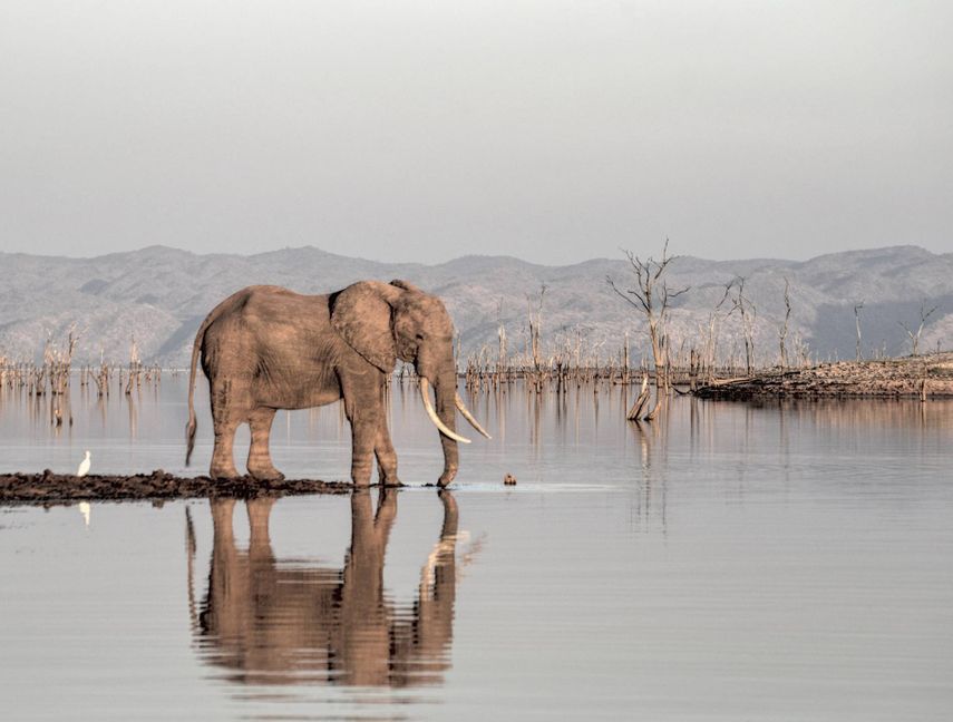 32 Tantalizing Examples of Why the "Rule of Thirds" - Rules