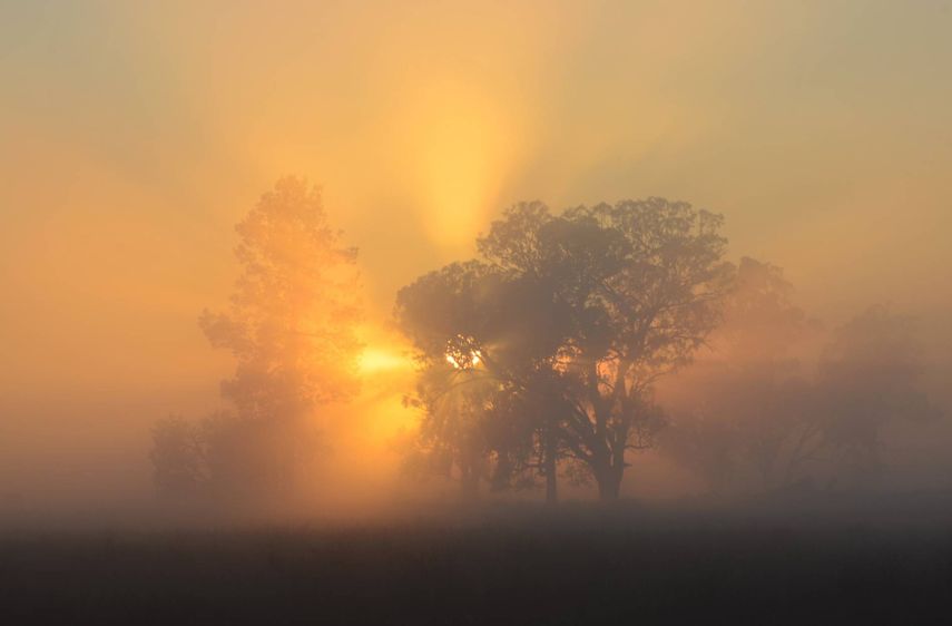 "I Must Go In - The Fog is Rising." 35 Fog Photos Ignite Your Imagination