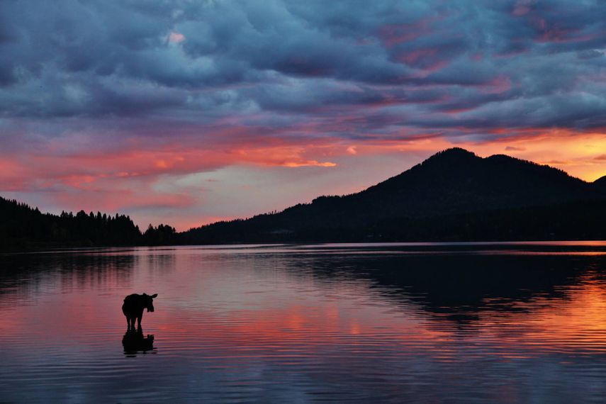 32 Tantalizing Examples of Why the "Rule of Thirds" - Rules