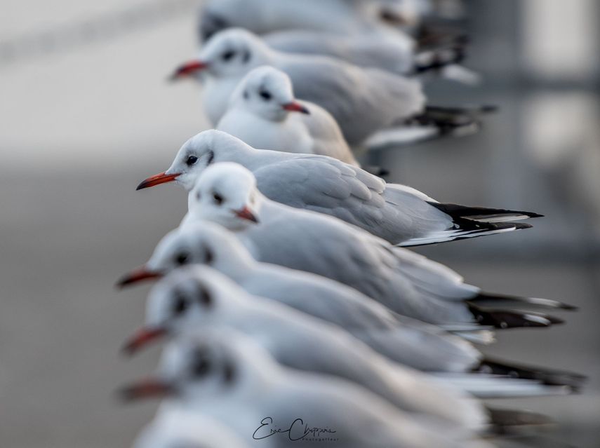 36 Beautiful Examples of Repetition & Patterns in Photography