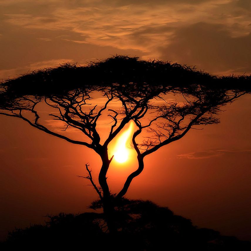 47 Jaw-Dropping Inspirational Photographs