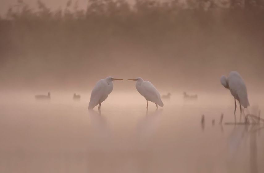 37 Eye-Popping Global Photos