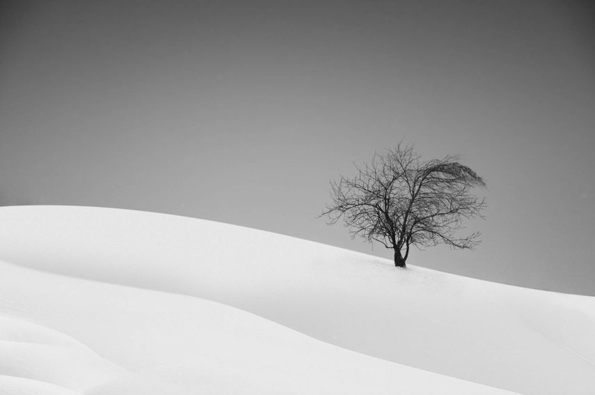 11 Brilliant Examples of Negative Space Defining a Composition