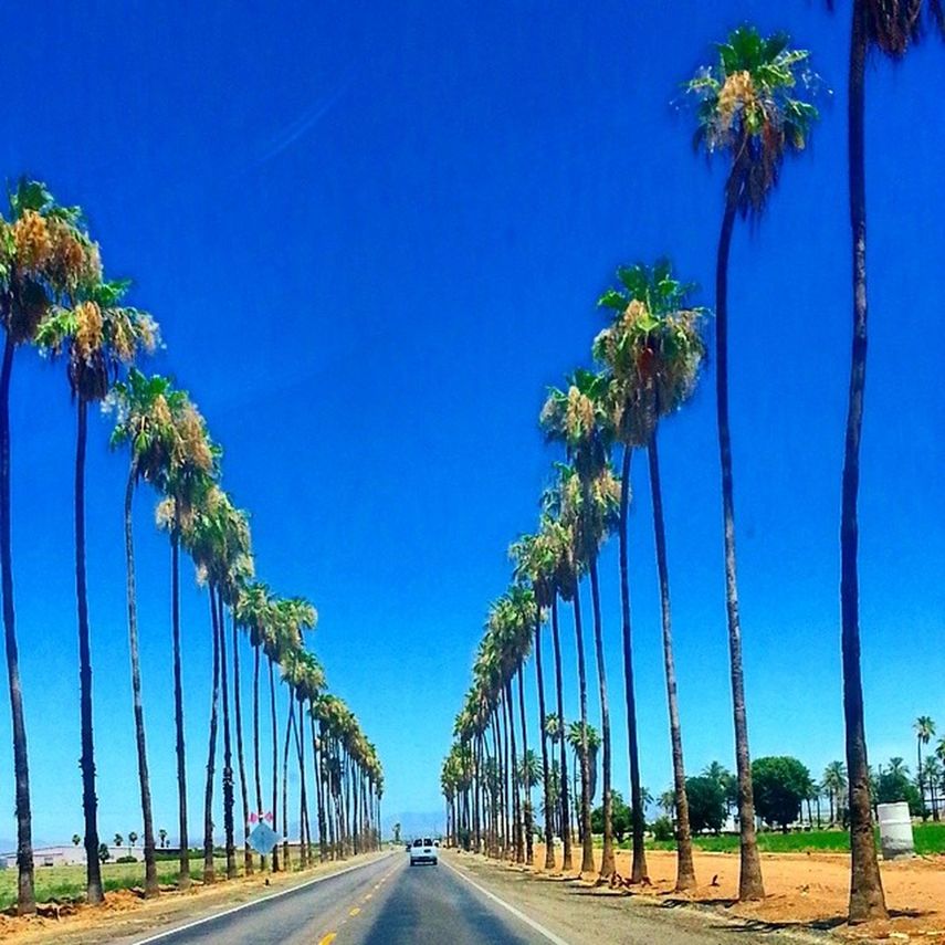 36 Beautiful Examples of Repetition & Patterns in Photography