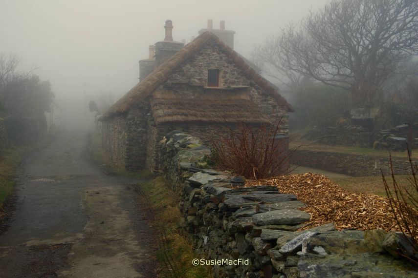 "I Must Go In - The Fog is Rising." 35 Fog Photos Ignite Your Imagination