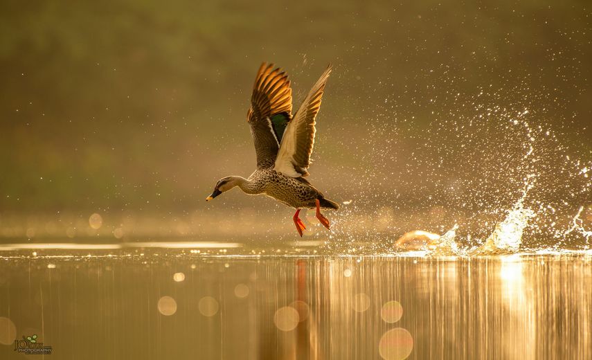 Shutter Speed Explained For Beginners!