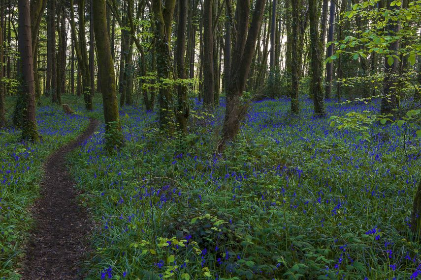 33 Of The Very Best Photos of "Spring" That You Will Ever See