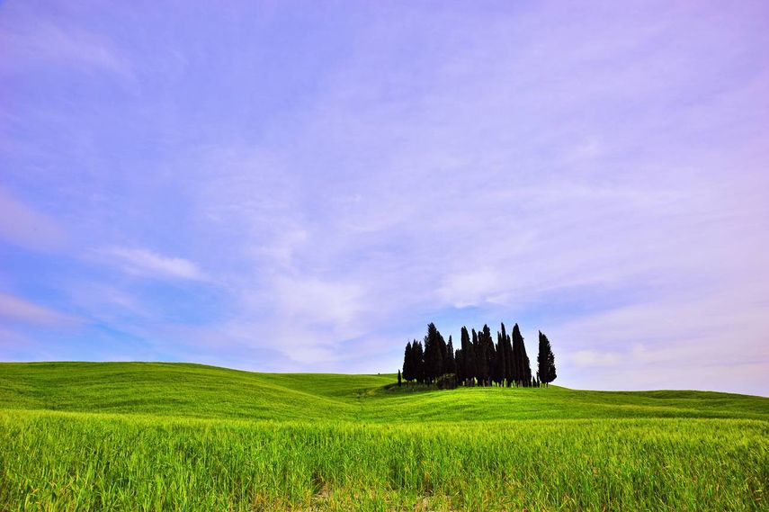 32 Photographs with Negative Space Proving that Less Can Be More