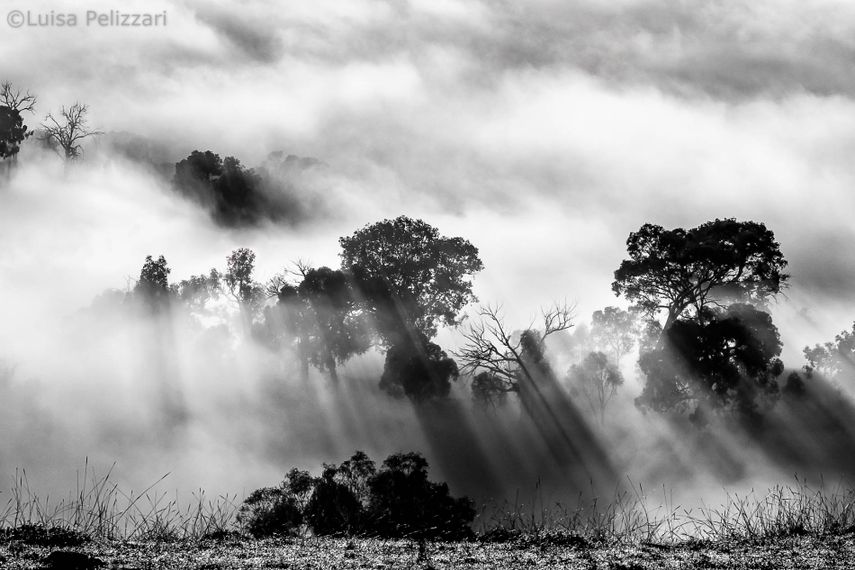 "I Must Go In - The Fog is Rising." 35 Fog Photos Ignite Your Imagination