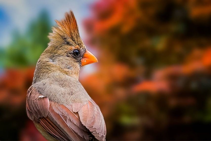 32 Tantalizing Examples of Why the "Rule of Thirds" - Rules