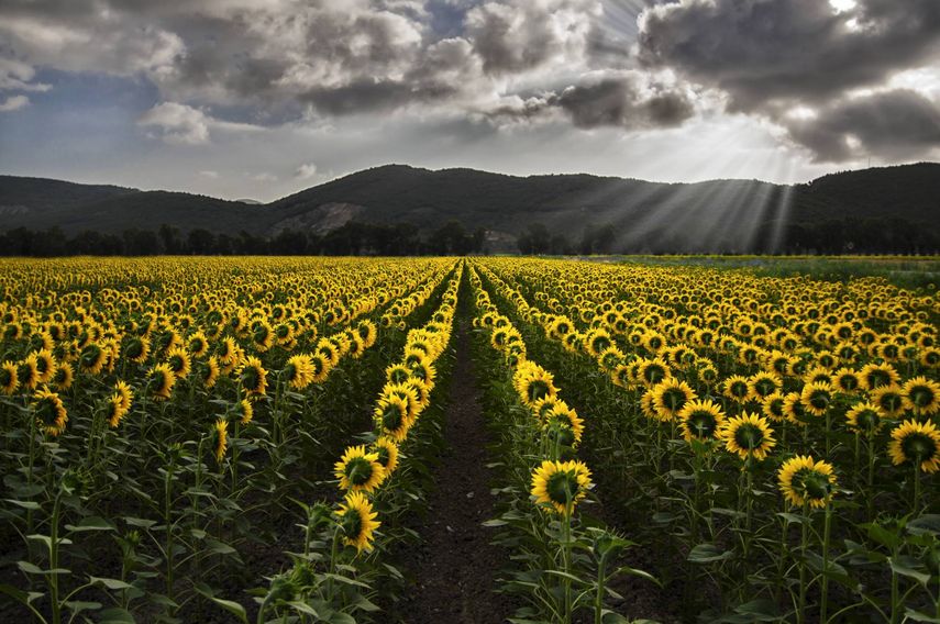 33 Of The Very Best Photos of "Spring" That You Will Ever See