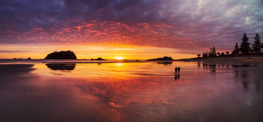 37 Eye-Popping Global Photos