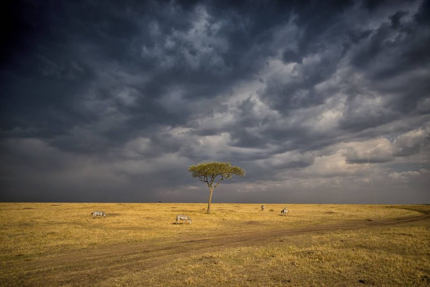 32 Photographs with Negative Space Proving that Less Can Be More