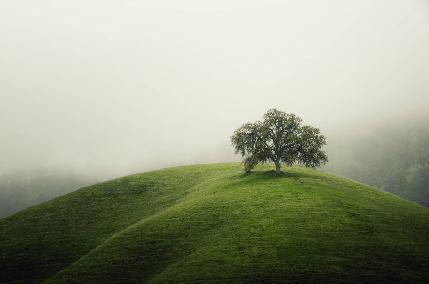 "I Must Go In - The Fog is Rising." 35 Fog Photos Ignite Your Imagination