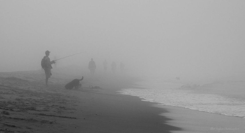 "I Must Go In - The Fog is Rising." 35 Fog Photos Ignite Your Imagination