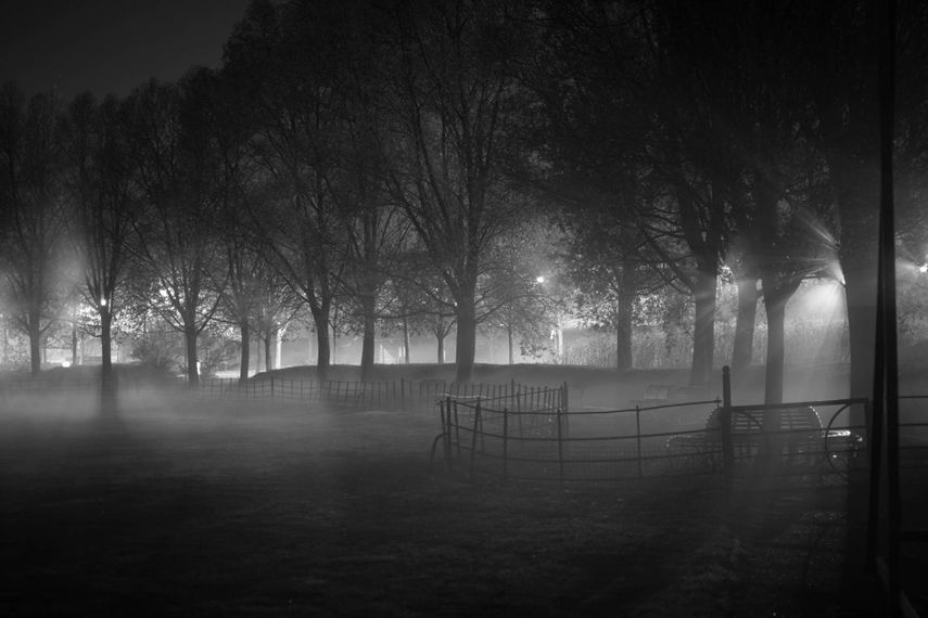 30 "High ISO" Low Light Images That will Knock Your Socks Off