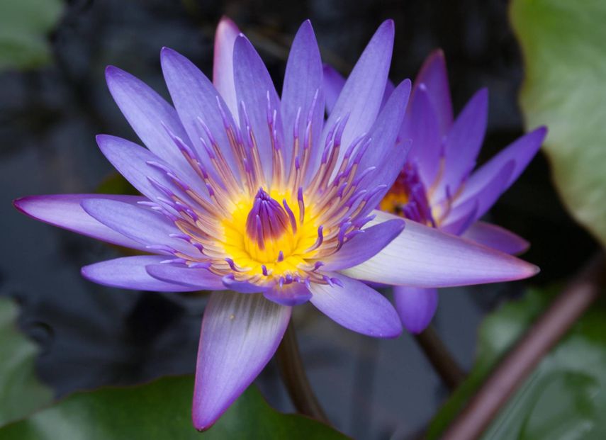 33 Of The Very Best Photos of "Spring" That You Will Ever See