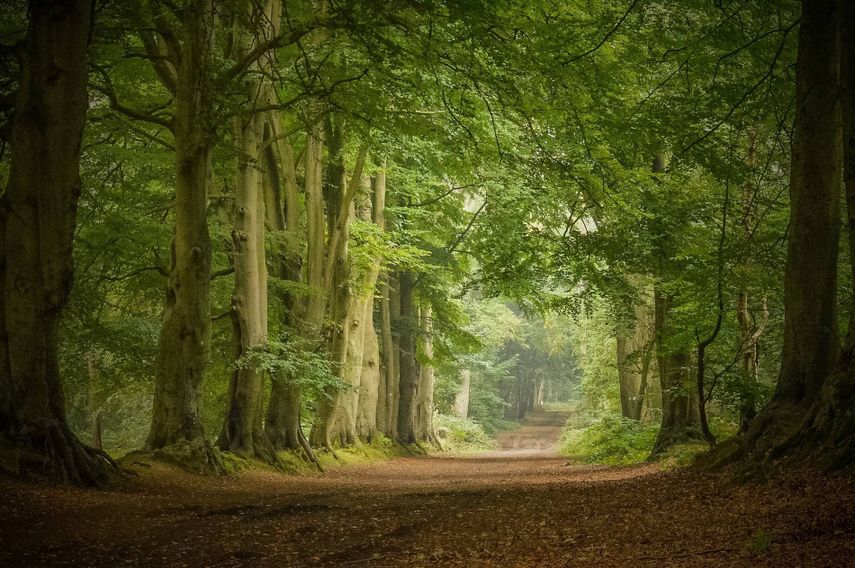 34 Superb Examples of Why a Vanishing Point works SOooo well in Photography