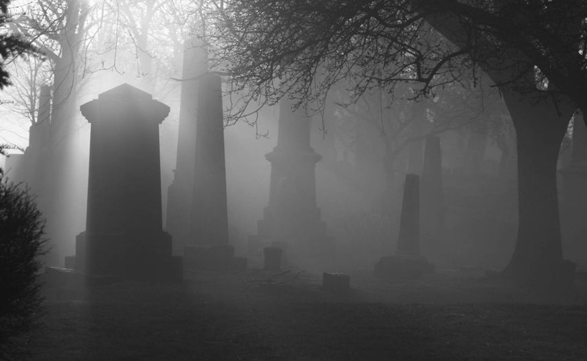 "I Must Go In - The Fog is Rising." 35 Fog Photos Ignite Your Imagination