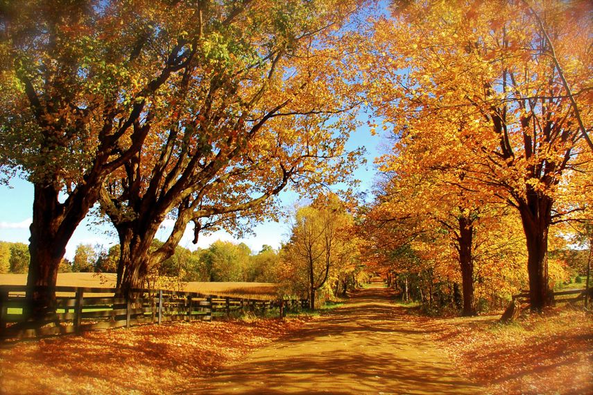 35 Photos That Will Make You Happy Autumn Is Here