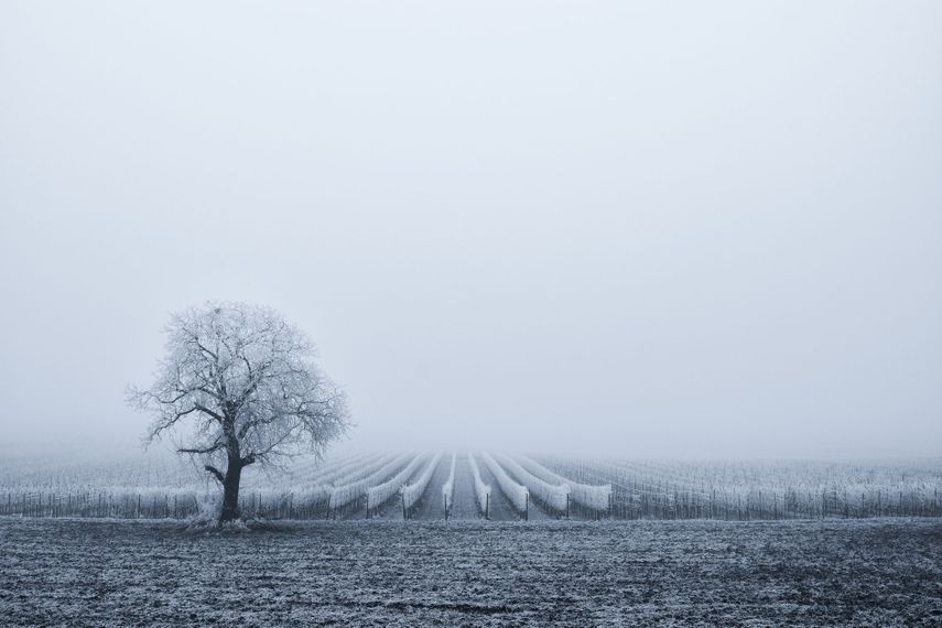 11 Brilliant Examples of Negative Space Defining a Composition