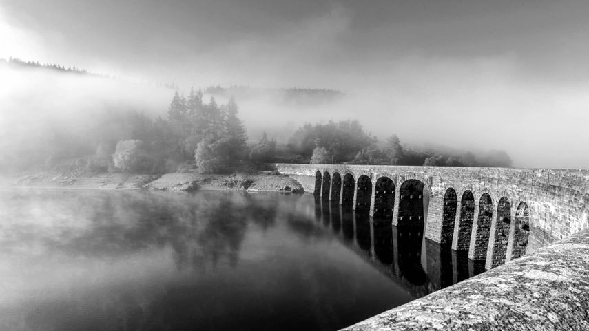 "I Must Go In - The Fog is Rising." 35 Fog Photos Ignite Your Imagination